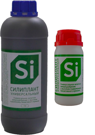 Главная